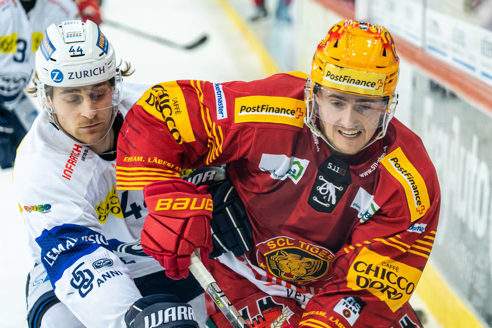Jetzt bestätigt: Nationalstürmer Marc Michaelis wechselt innerhalb der ...