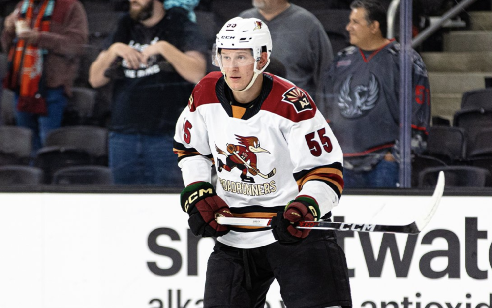 Nationalspieler Szuber: Erst Playoffs mit Top-Team Tucson in der AHL ...