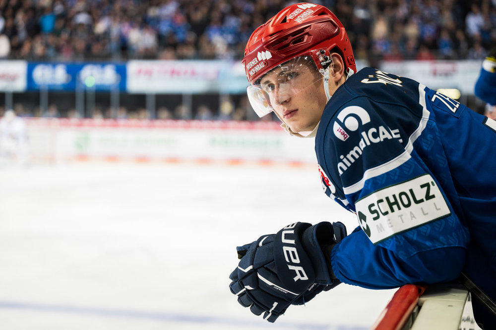 Tölzer Löwen testen US-Stürmer Jack Olmstead, Herner EV verpflichtet ...