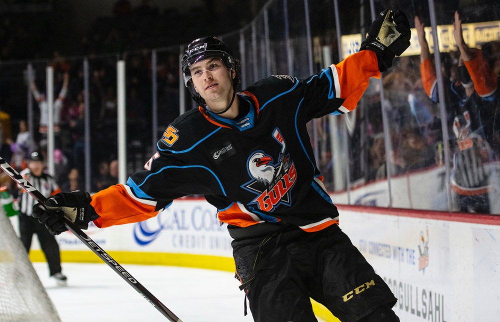 Ein Jahr ohne Spiel: Regensburg holt AHL-erfahrenen Kanadier Bryce ...